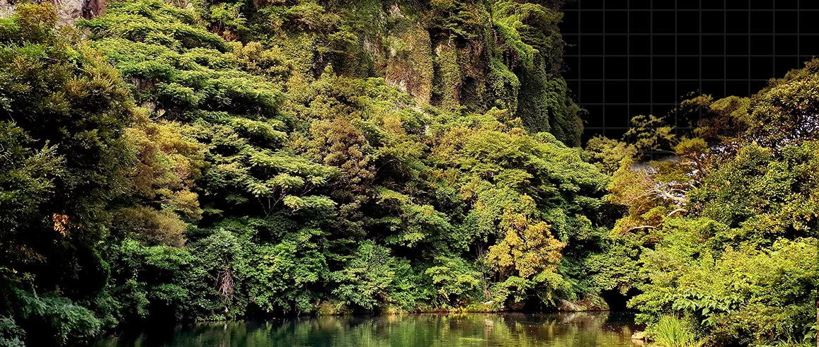 Temperate – Beyond Clothing